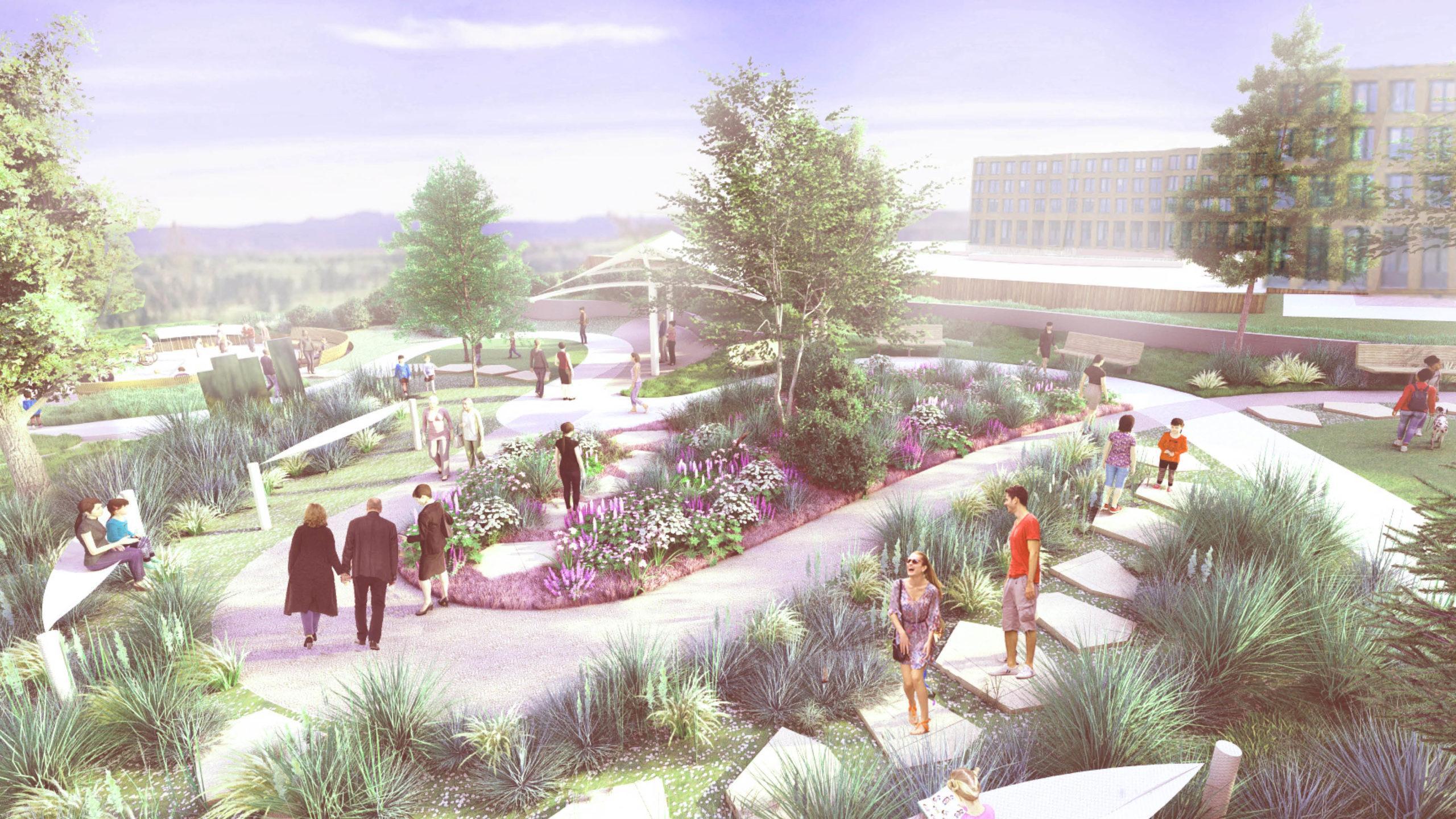 Design & Research - Superbloom