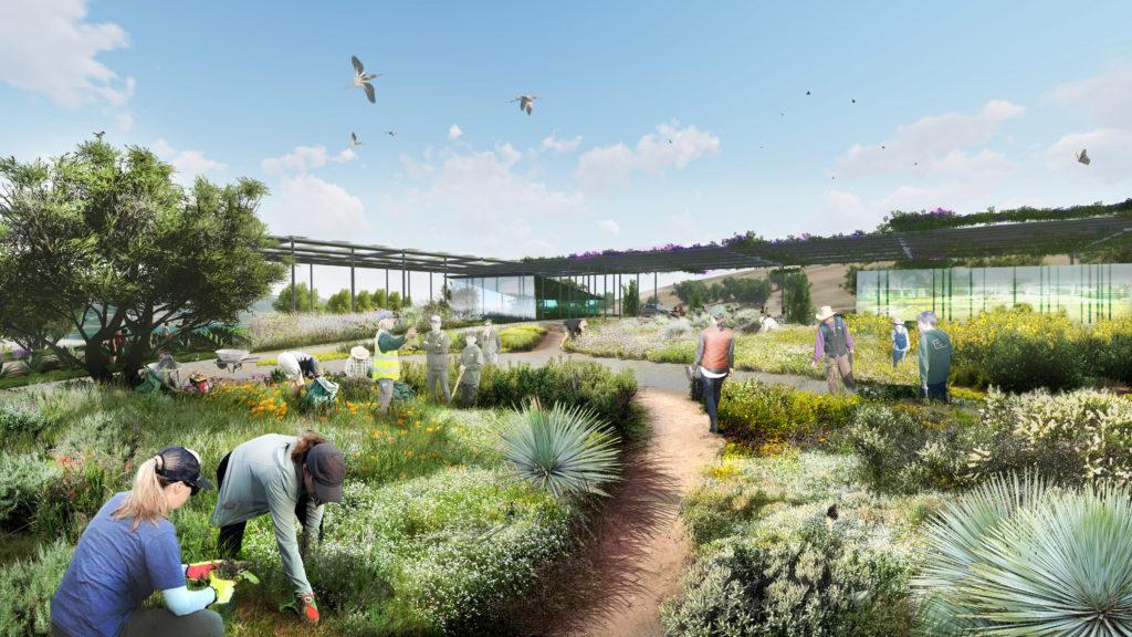 Superbloom - Innovative landscape architecture and design