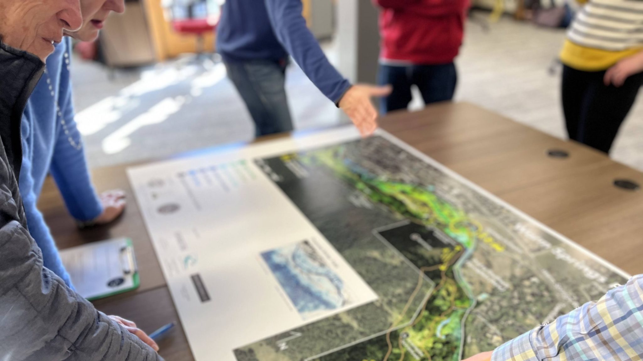 Design & Research - Superbloom